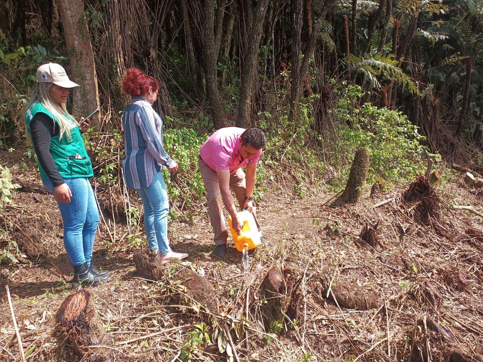 Gobernación notifica a infractores por desmonte ilegal en la UCPN Río ...